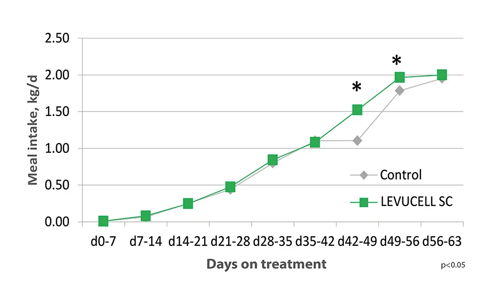 Levucell® live yeasts from Lallemand – a proven success story | Nutritech