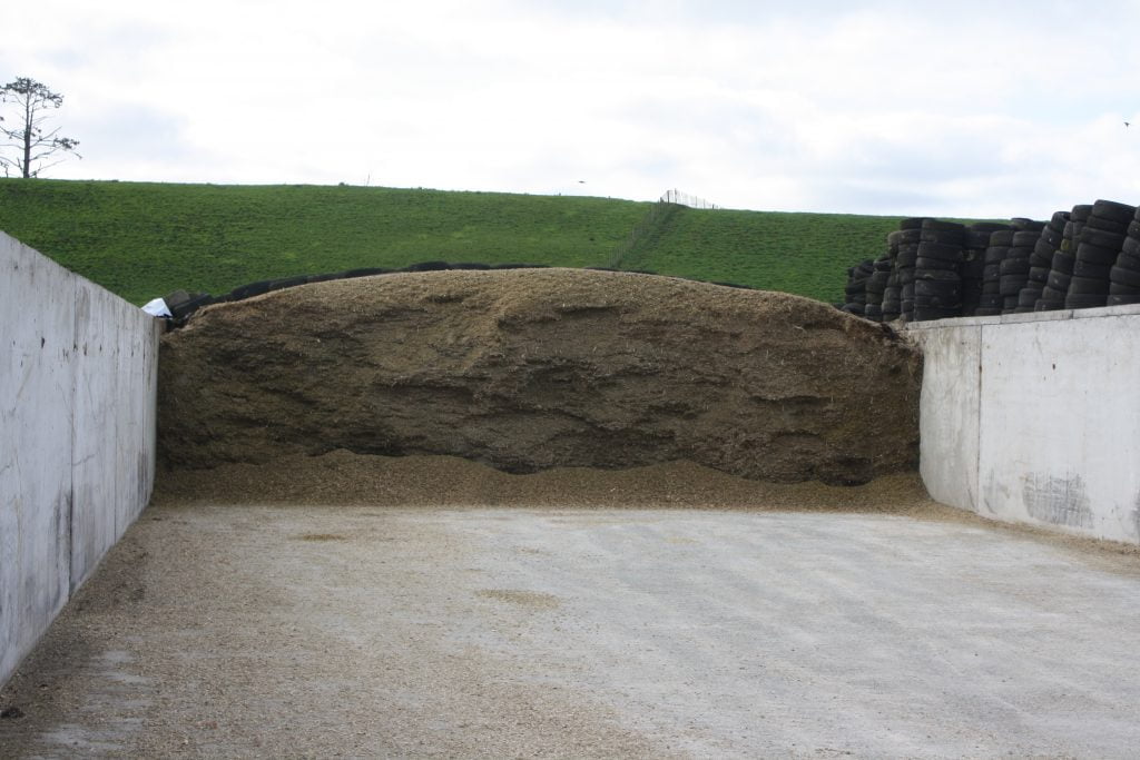 Why use Silage Inoculants and Which are Best? - Nutritech