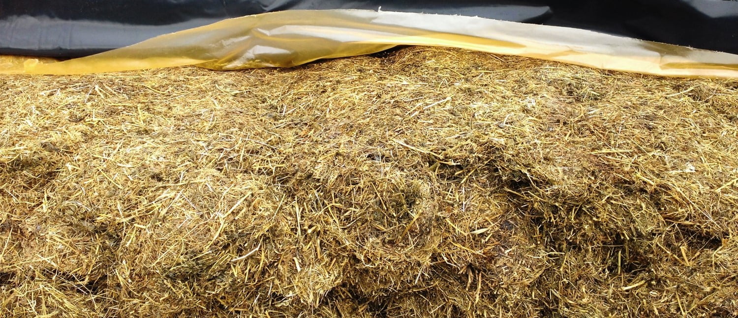 Managing Air and Heating for Quality Silage | Nutritech
