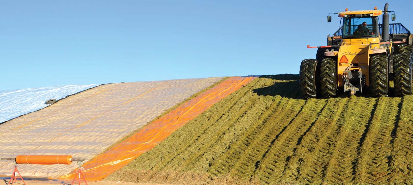 New technologies improve silage quality | Nutritech