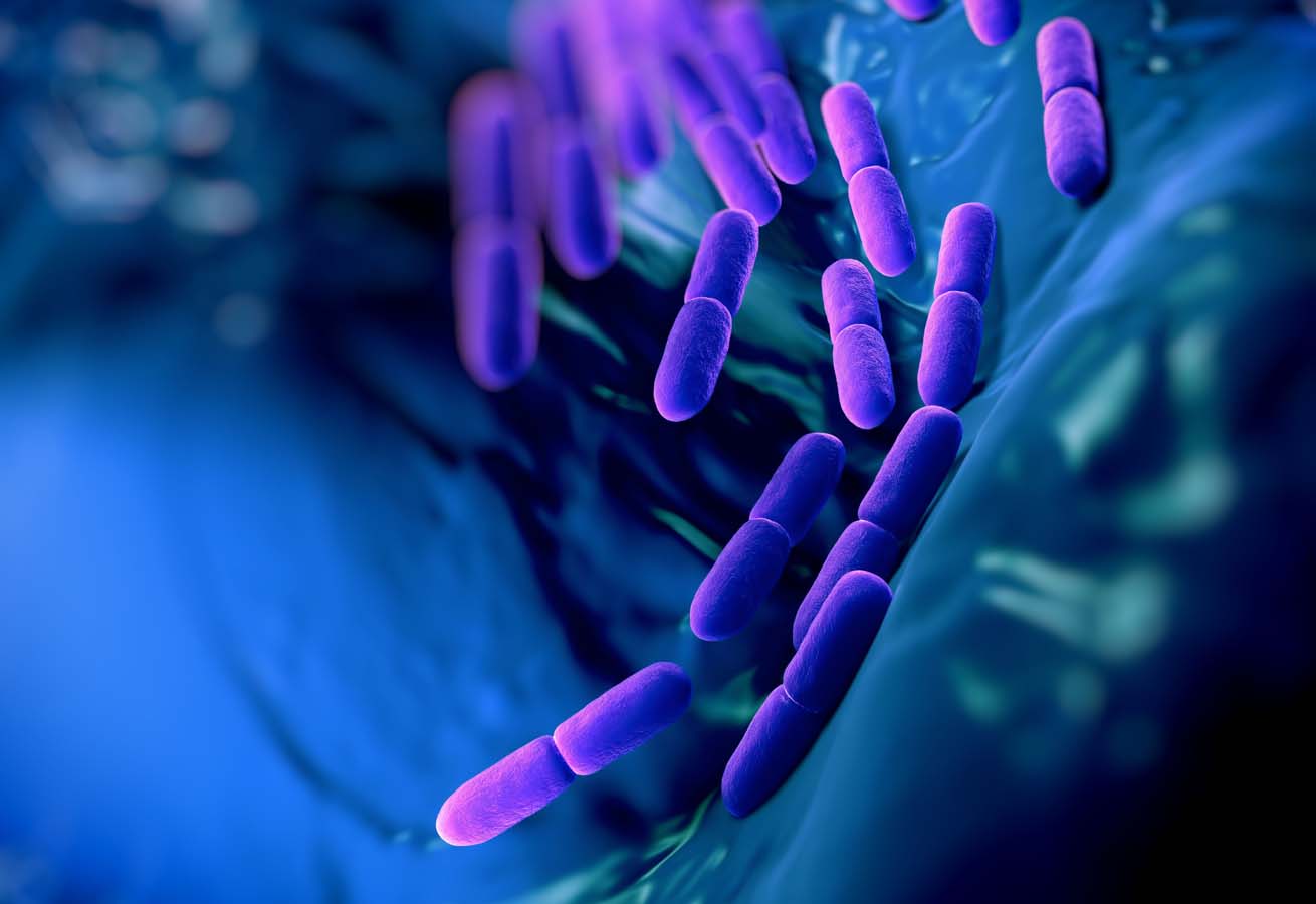 What are Mycotoxins and how can we reduce their impact? | Nutritech