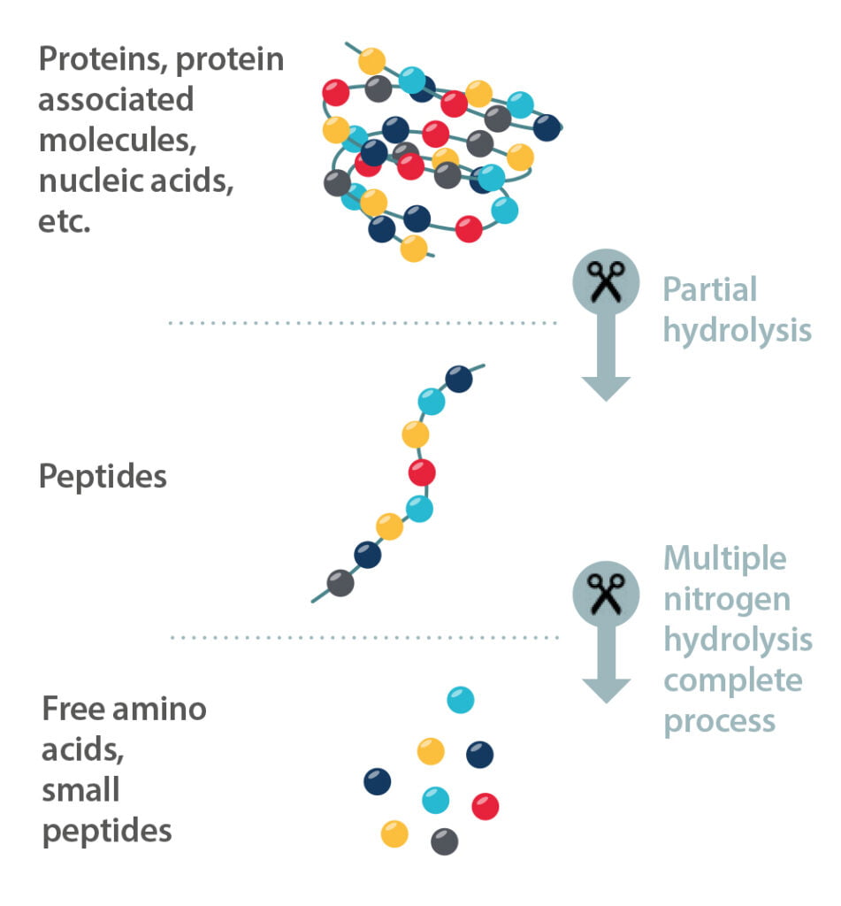 SCIENTIFIC CORNER | Nutritech
