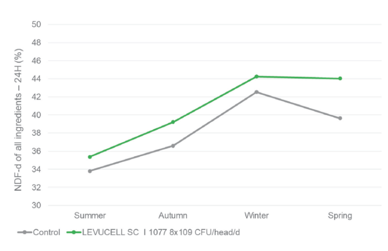 There’s Rumen for improvement…with LEVUCELL® SC rumen specific live ...