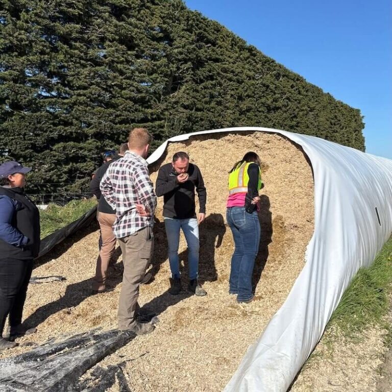 Shamrocks and Silage: The story of Irish Contractor Patrick Nagle